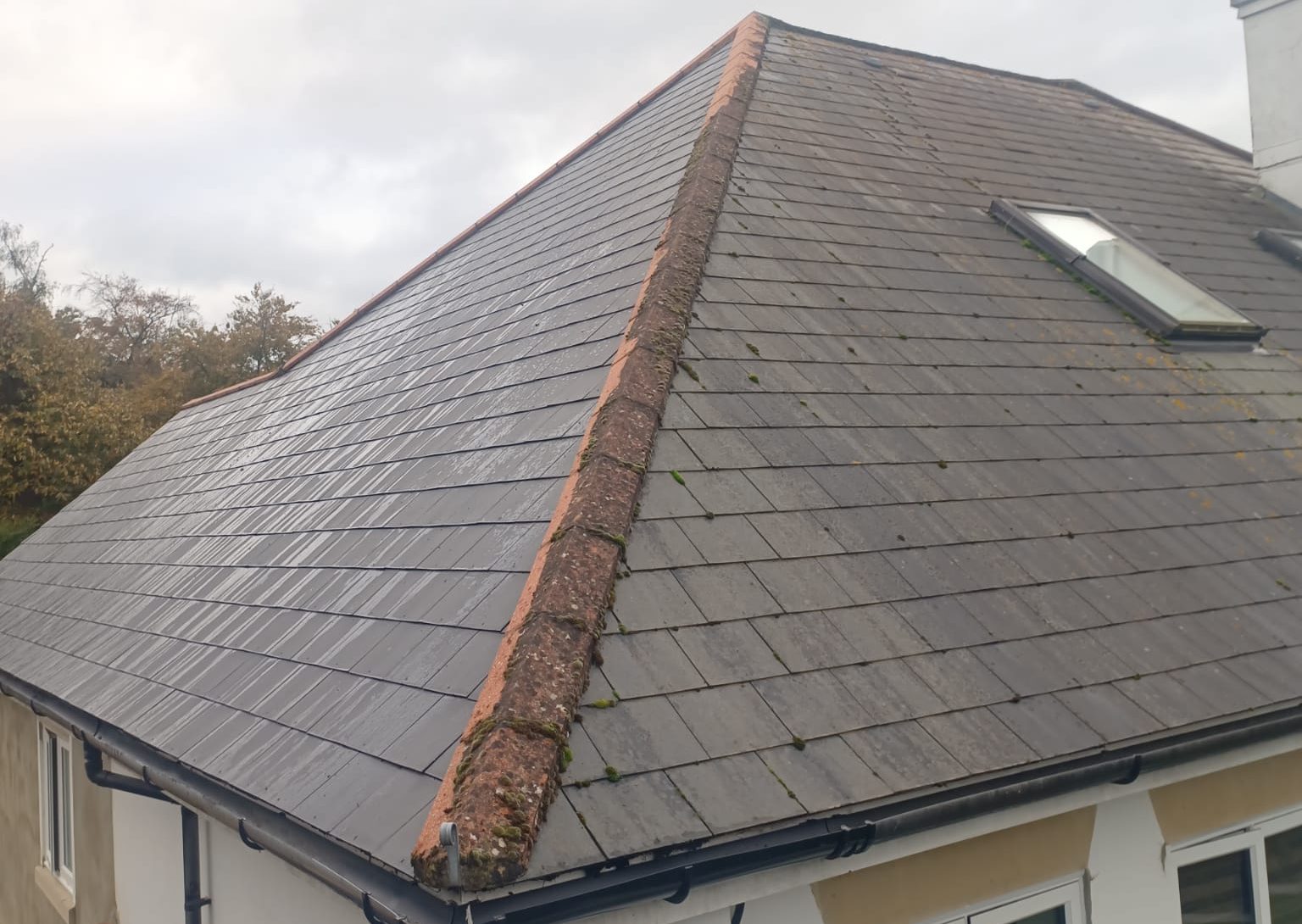 Roof Steam Cleaning Vs Manual Scraping & Treating